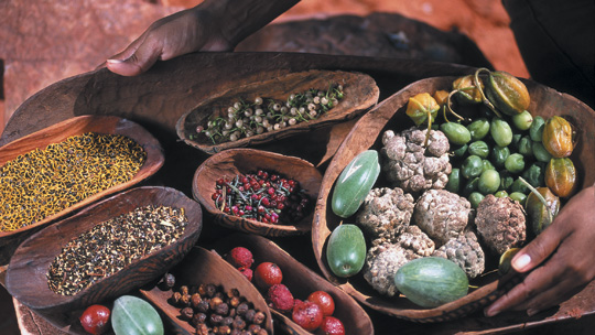 Voyager dans la brousse à la rencontre des autochtones : ce qu’il faut ...